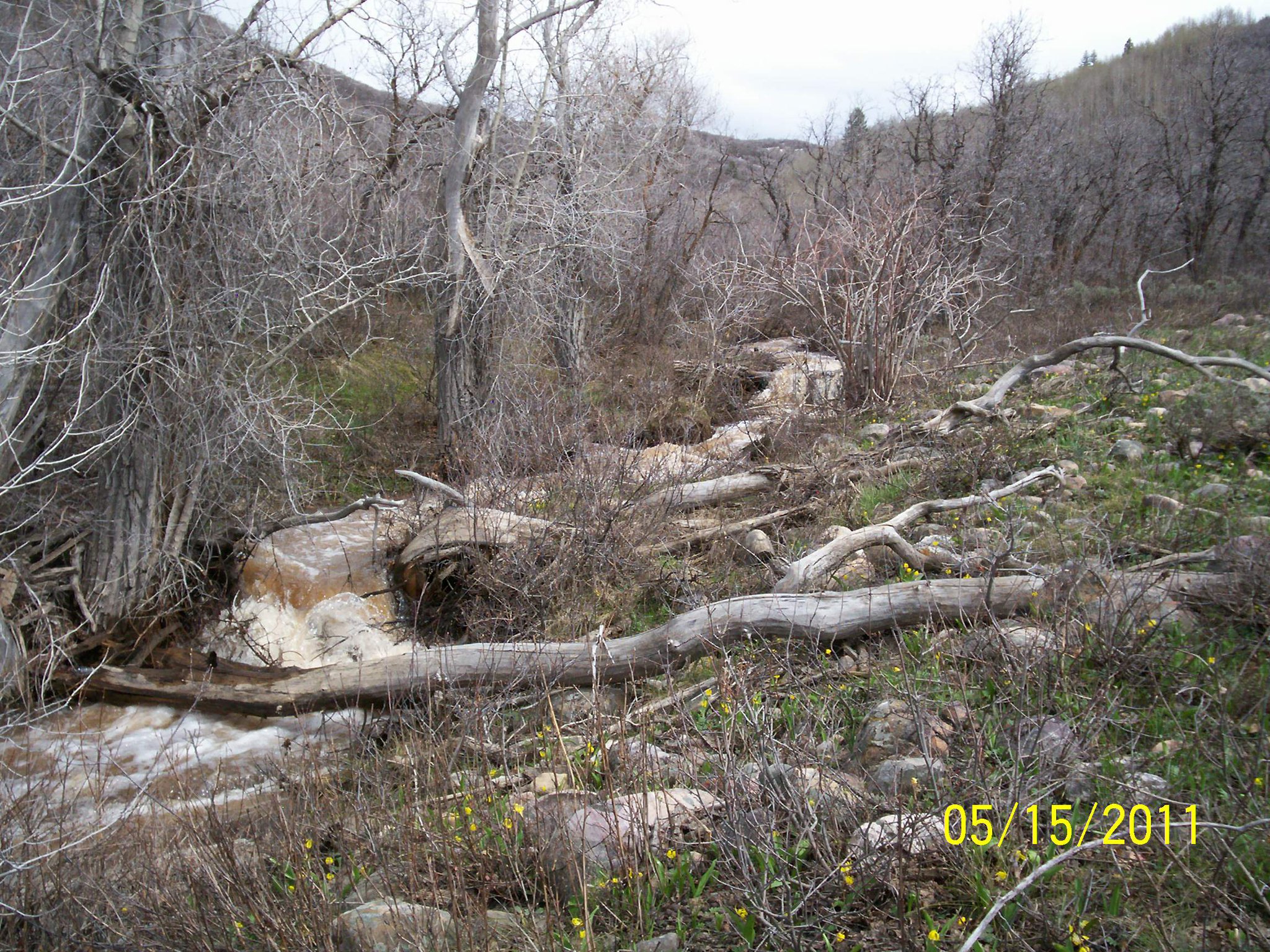 Photos | Causey Estates Lot Owner Association